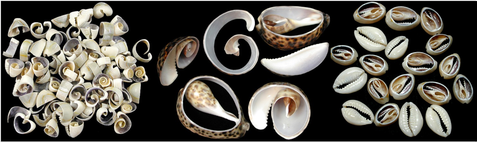 Student Project 2015 | Viveca Lim