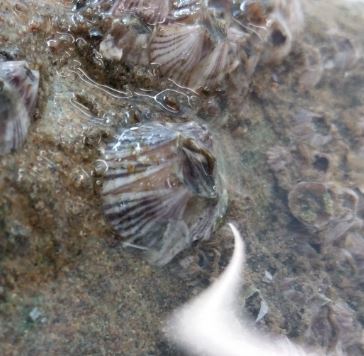 Student Project 2015 | Nicholas Wee