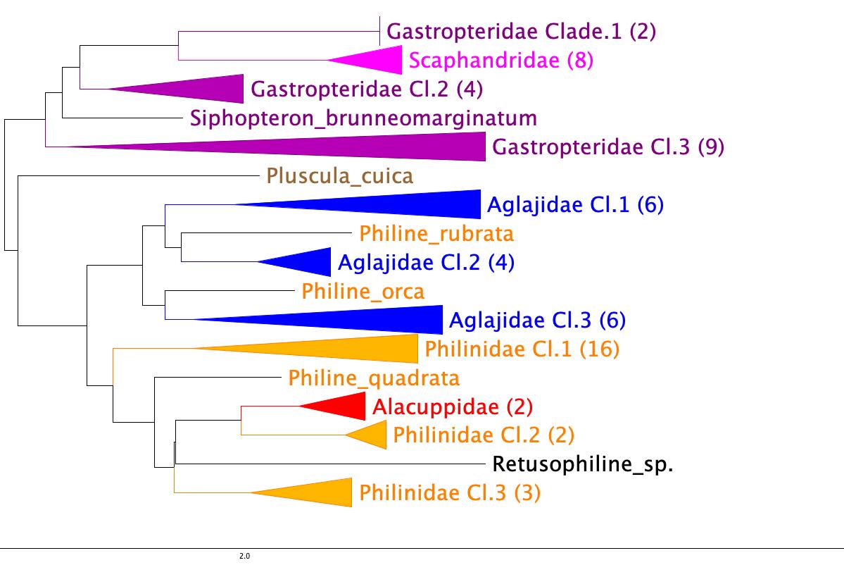 Great Barrier Reef Invertebrates > Classes > Student Project Figures